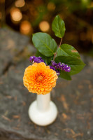 Diane and Alexa – Hoyt Arboretum Wedding – Portland, Oregon @ Haley ...